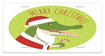 Smiling Crocodile Logo