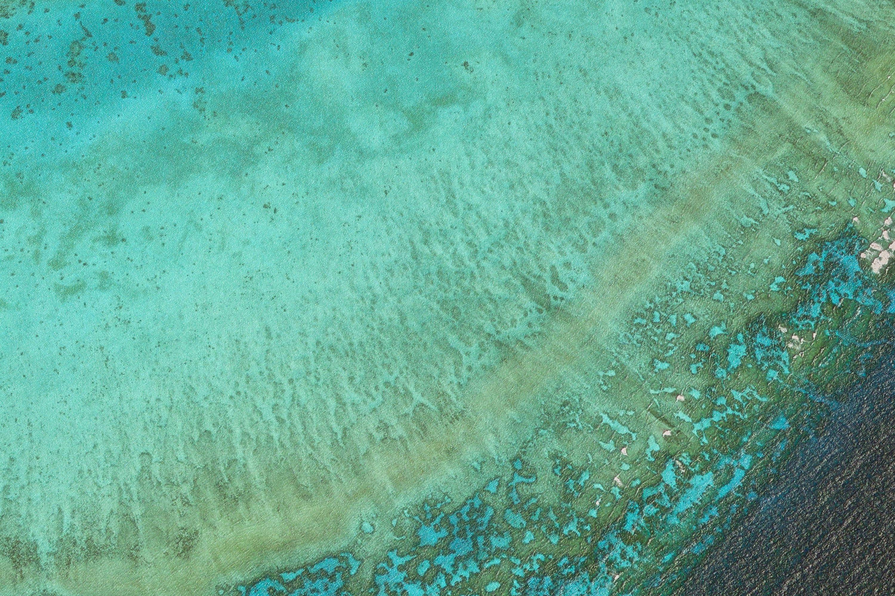 On Google Earth Desktop Logo