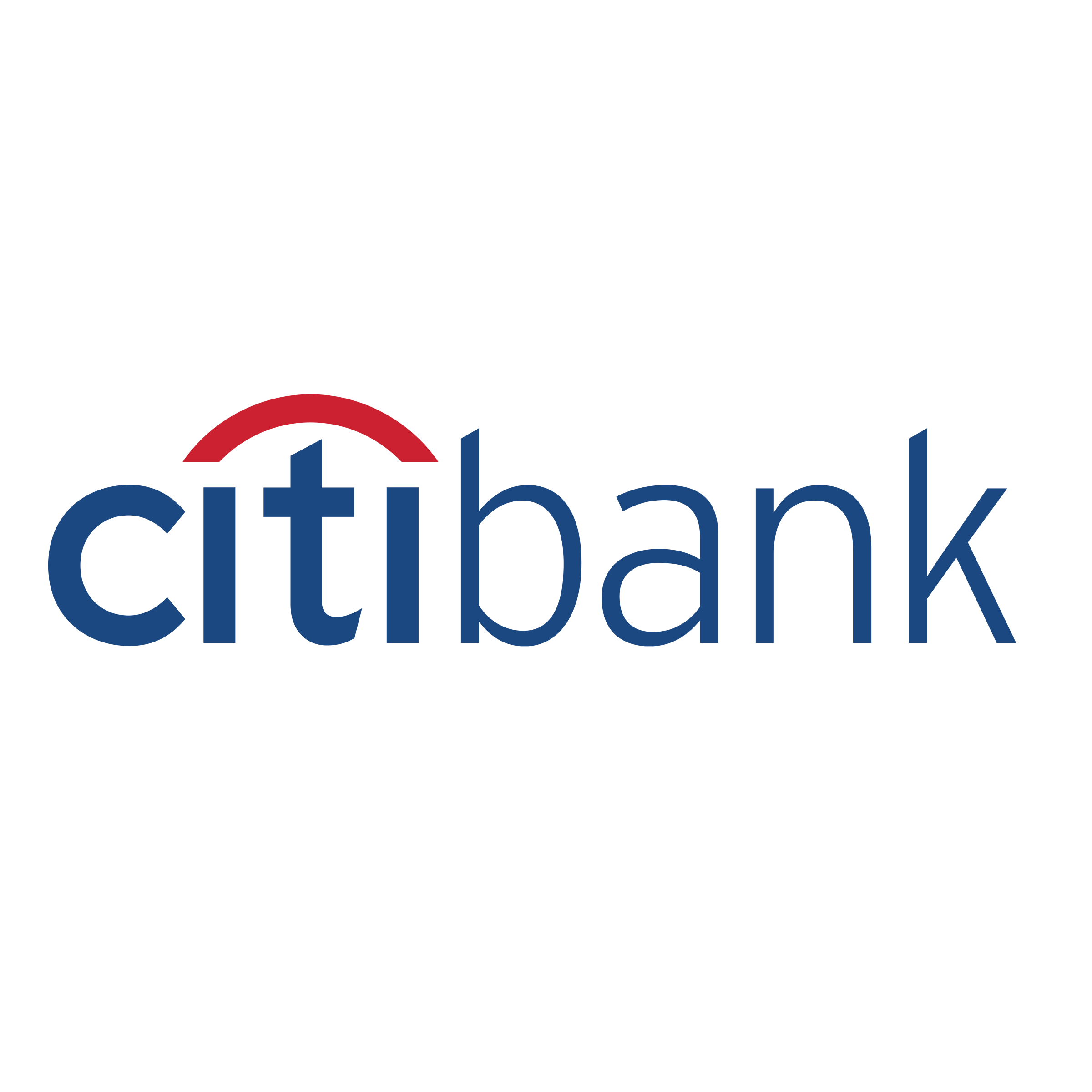Citi Bank Logo LogoDix
