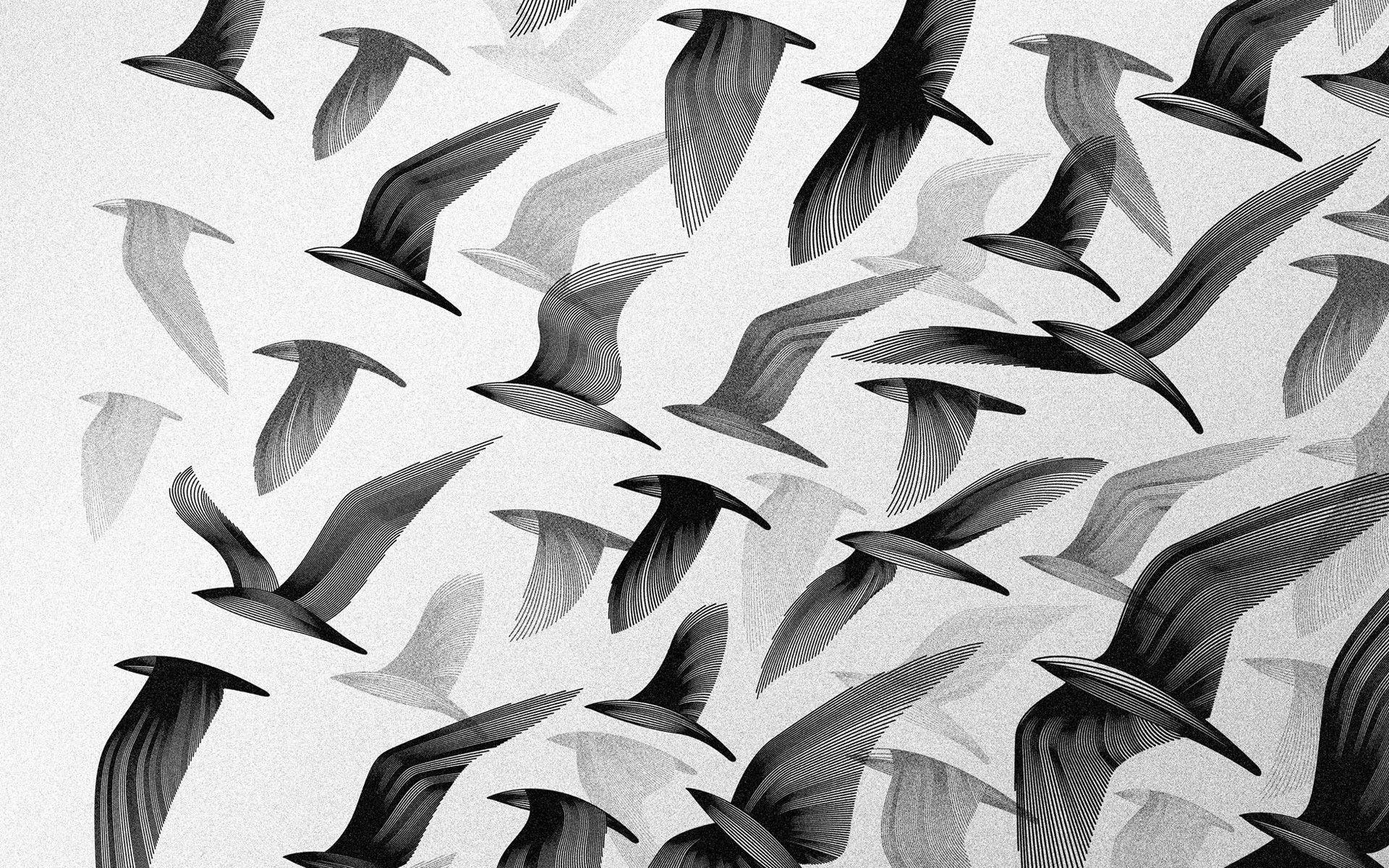 4K resolution Black And White Logo 4K resolution Black And White Logo