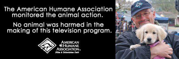 American Humane Association Logo - LogoDix