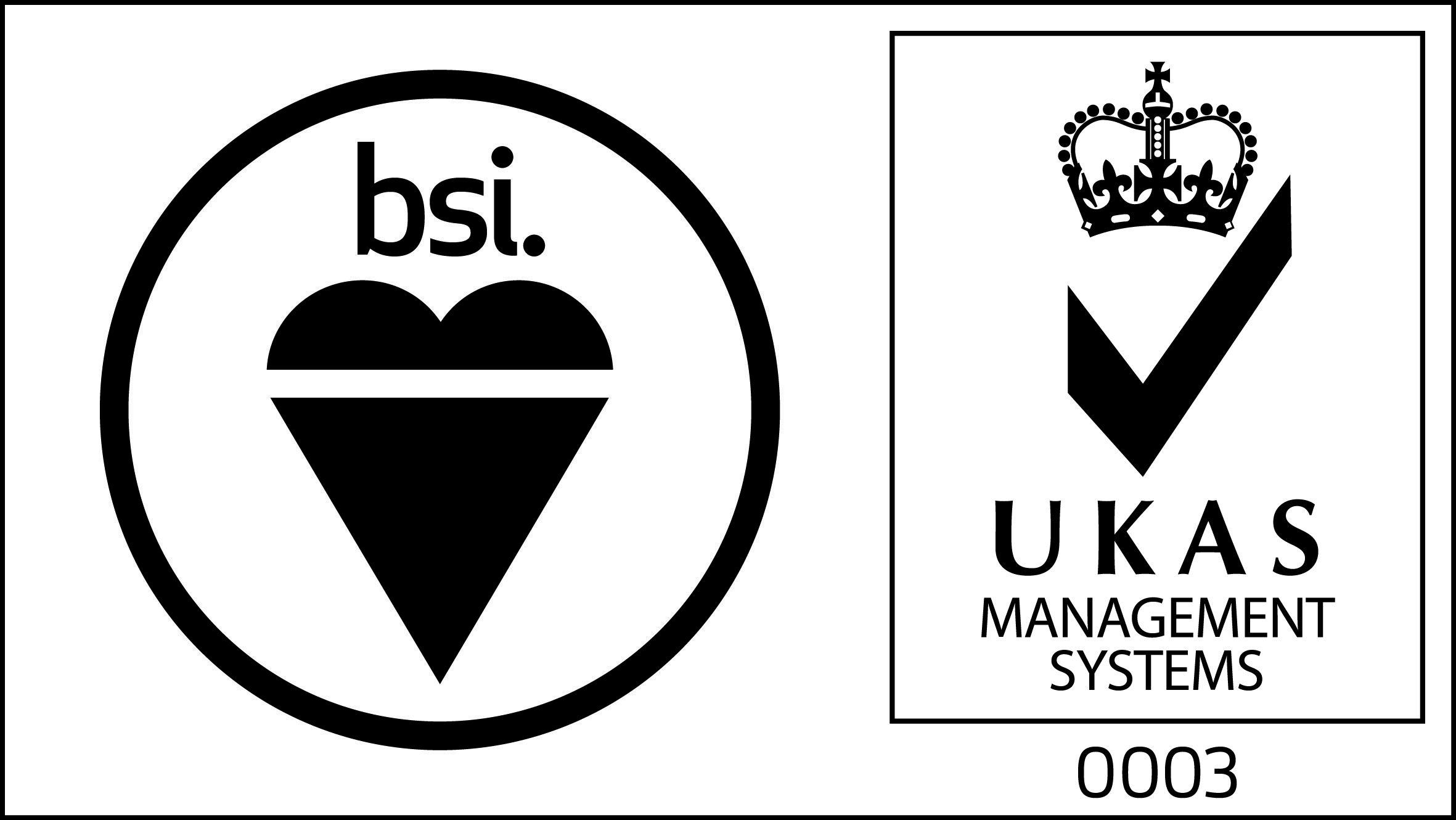 BSI Logo LogoDix BSI Logo LogoDix