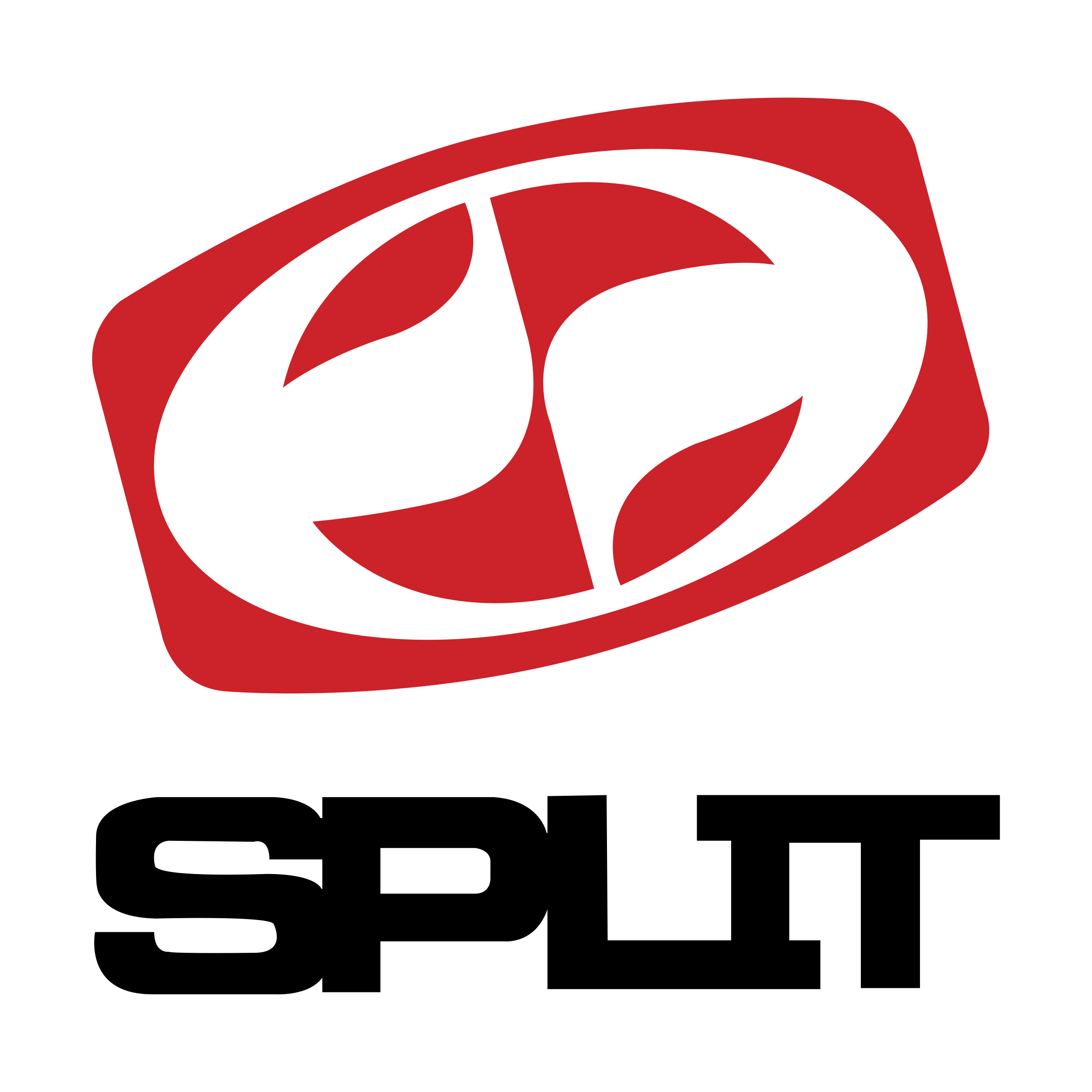 Split Logo