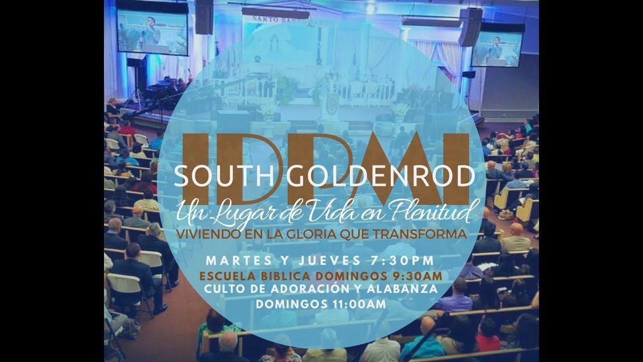 Idpmi Logo - LogoDix