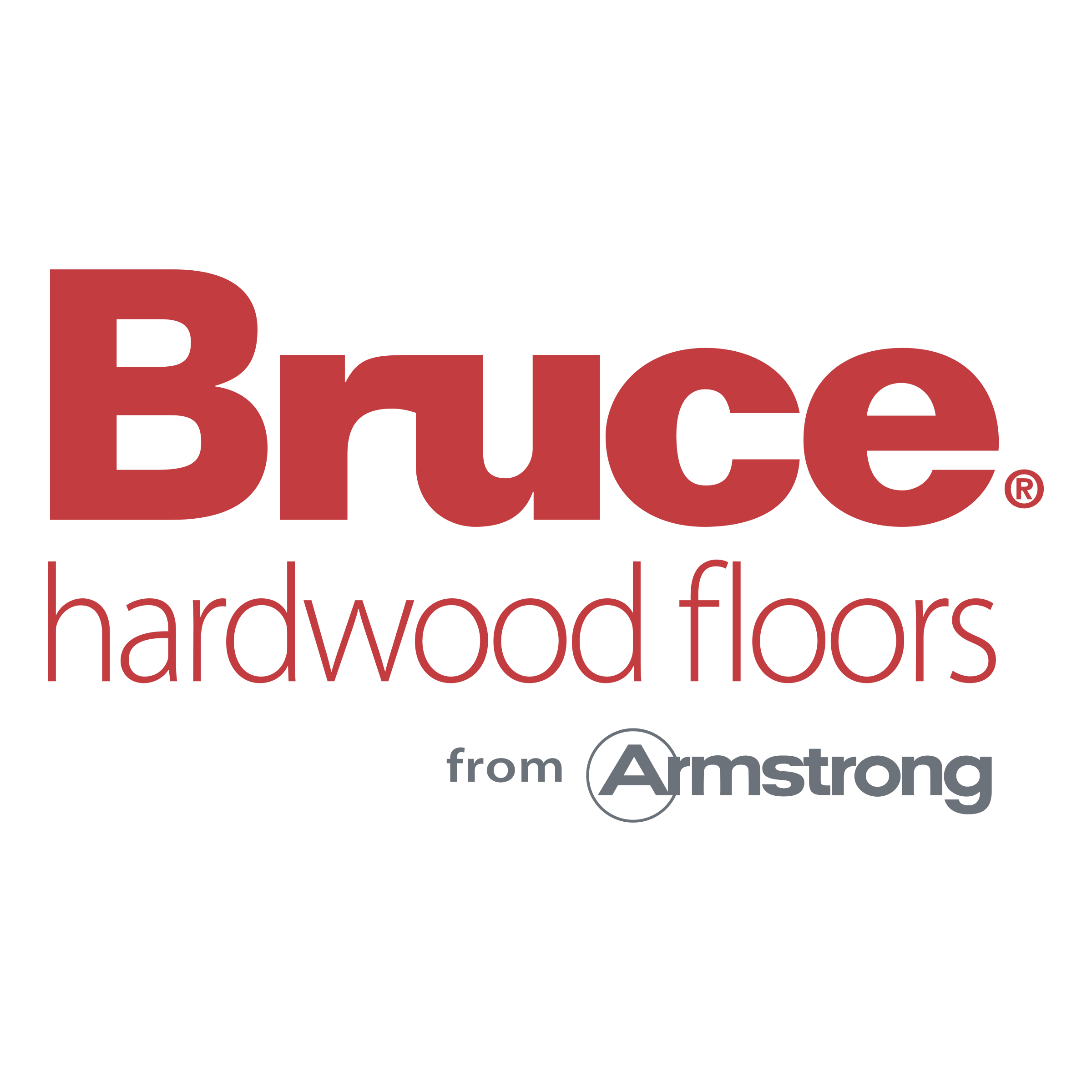 Bruce Logo Bruce Logo
