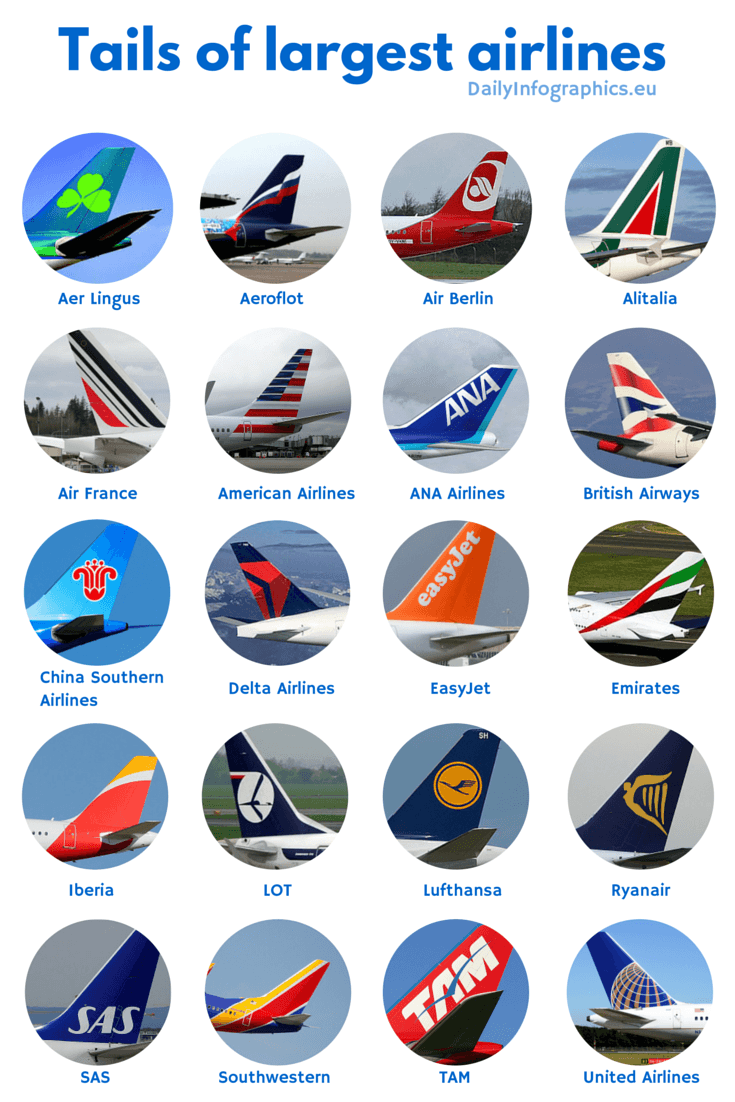 Largest Airlines Logo Largest Airlines Logo