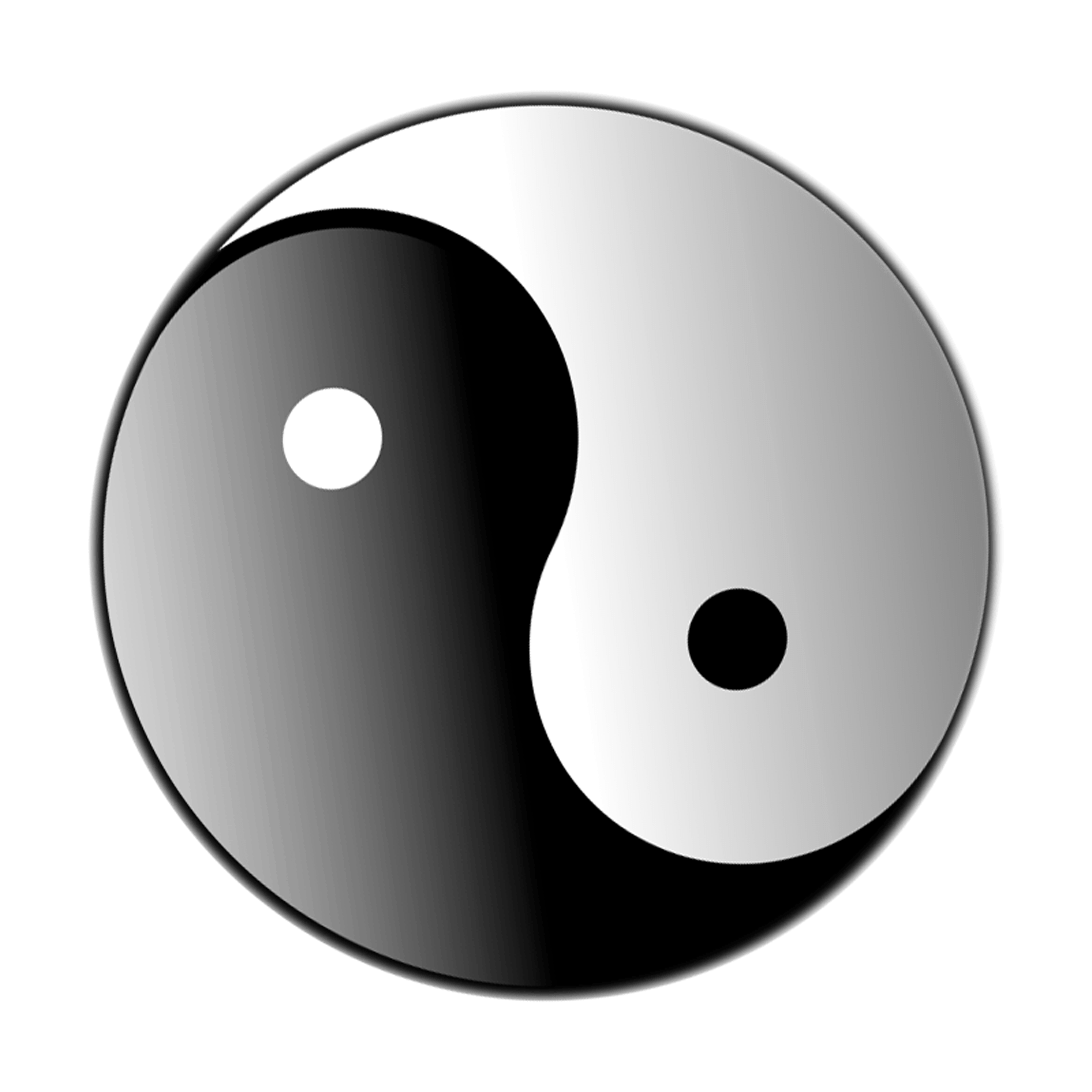 Ying Yang Logo