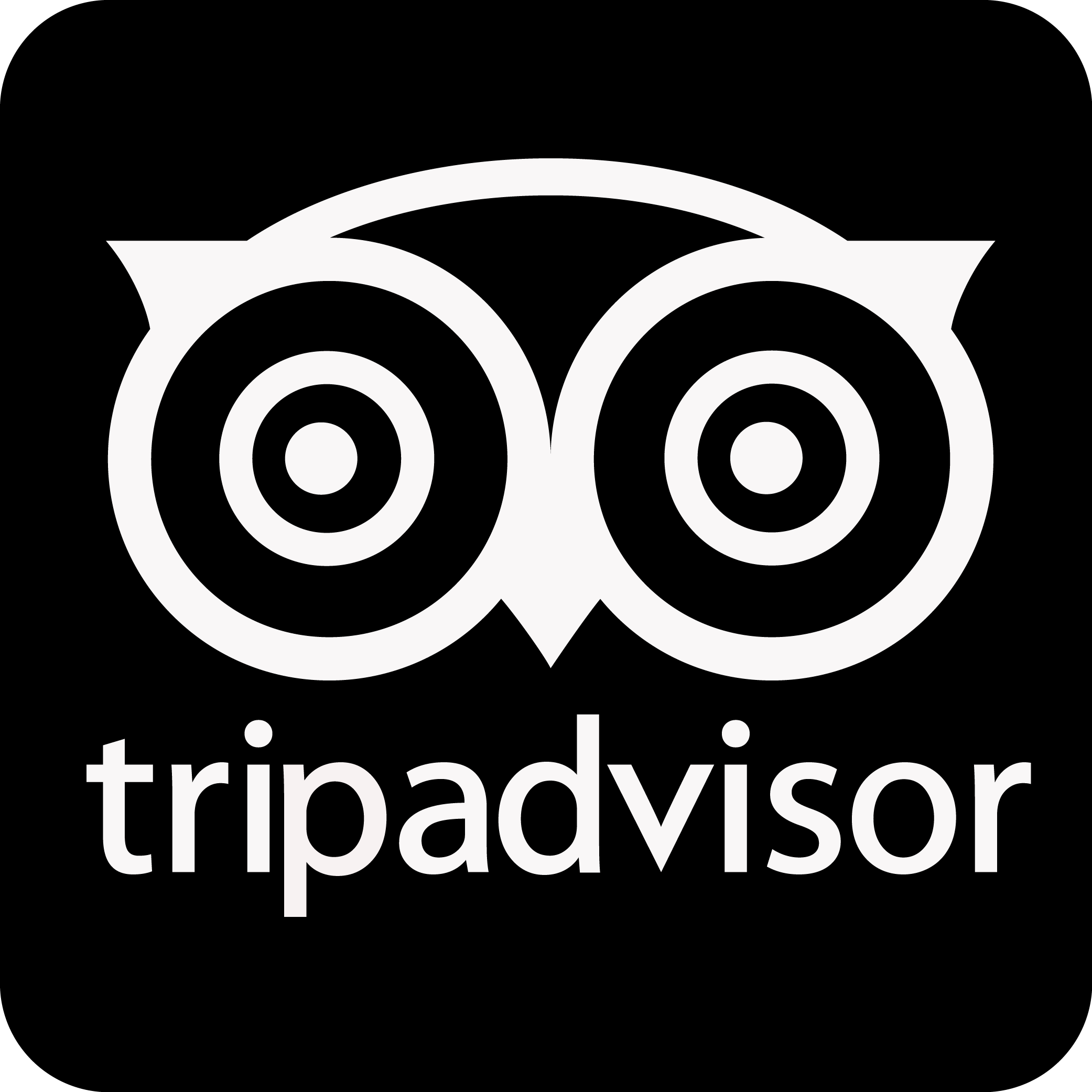 Www TripAdvisor Logo