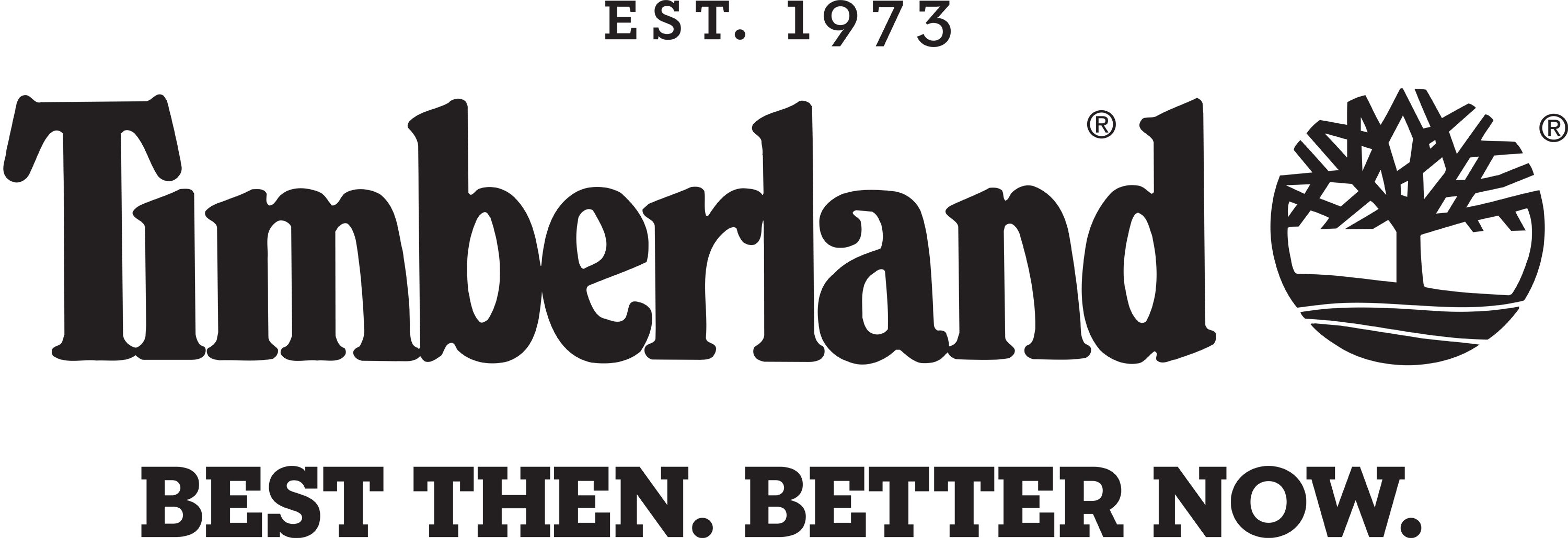 Black Timberland Logo