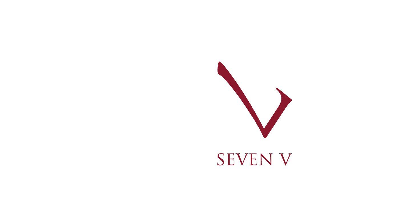 V Company Logo V Company Logo